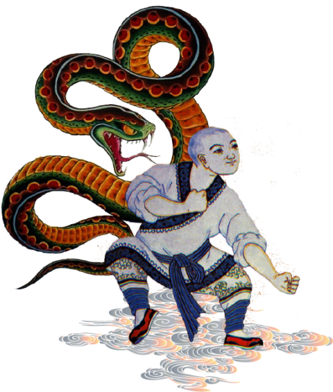 SOUTHERN KUNG FU | 混 元 派 Hun Yuan Pai